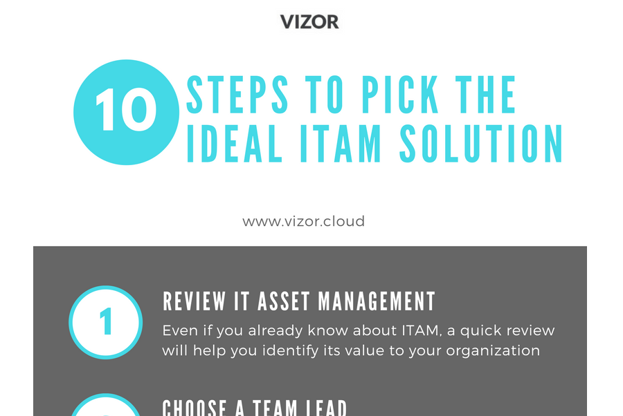 Infographics - Vizor